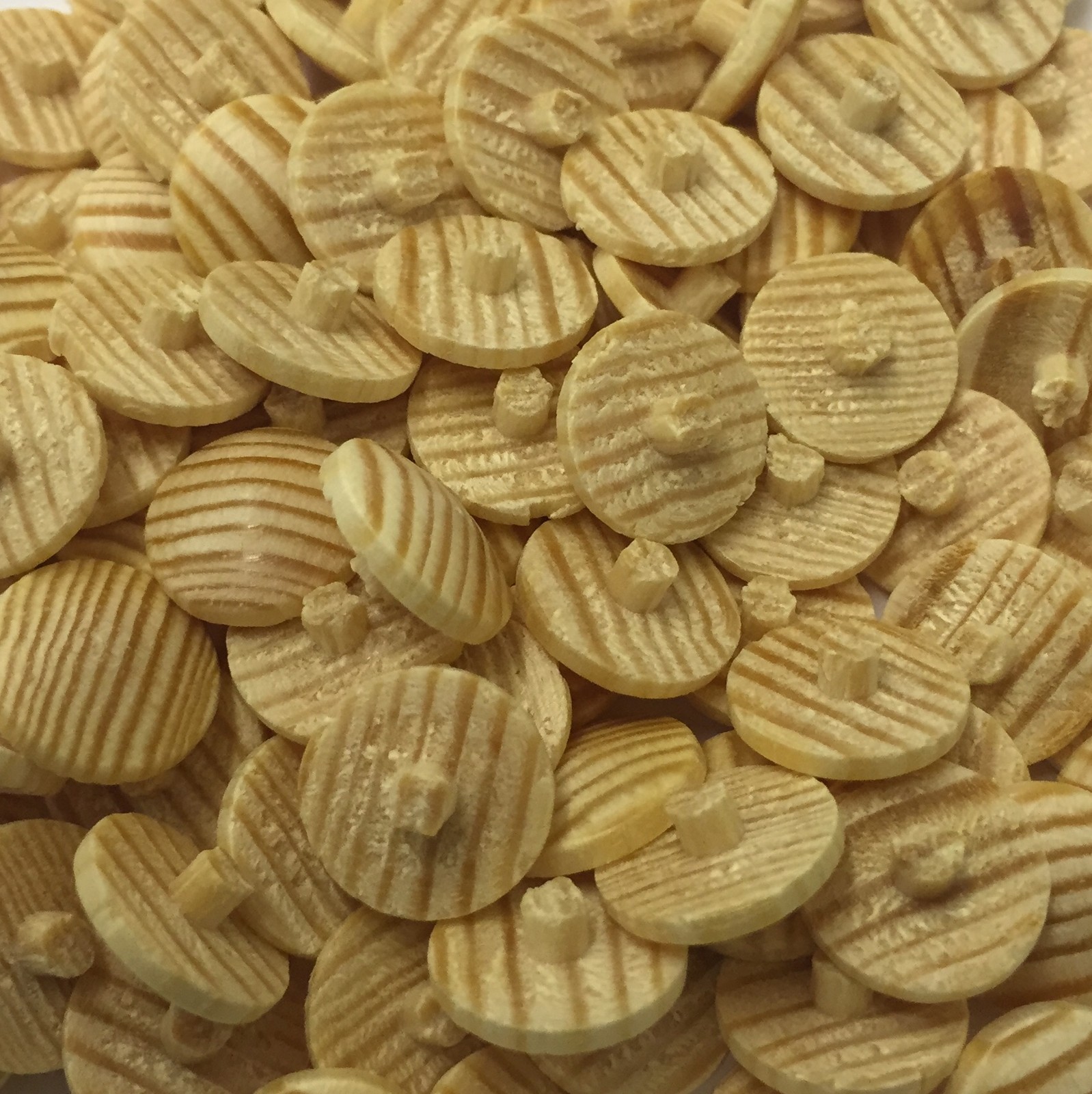 SOLID WOOD SCREW COVER CAPS - PRESS FIT PINE OAK BEECH MAPLE ASH PZ2 ...