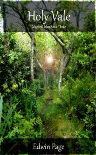 Holy Vale by Edwin Page (2014, Trade Paperback) for sale online | eBay