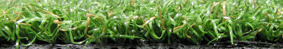 2' x 15' Professional Synthetic Putt Turf Grass Nylon Practice Putting ...
