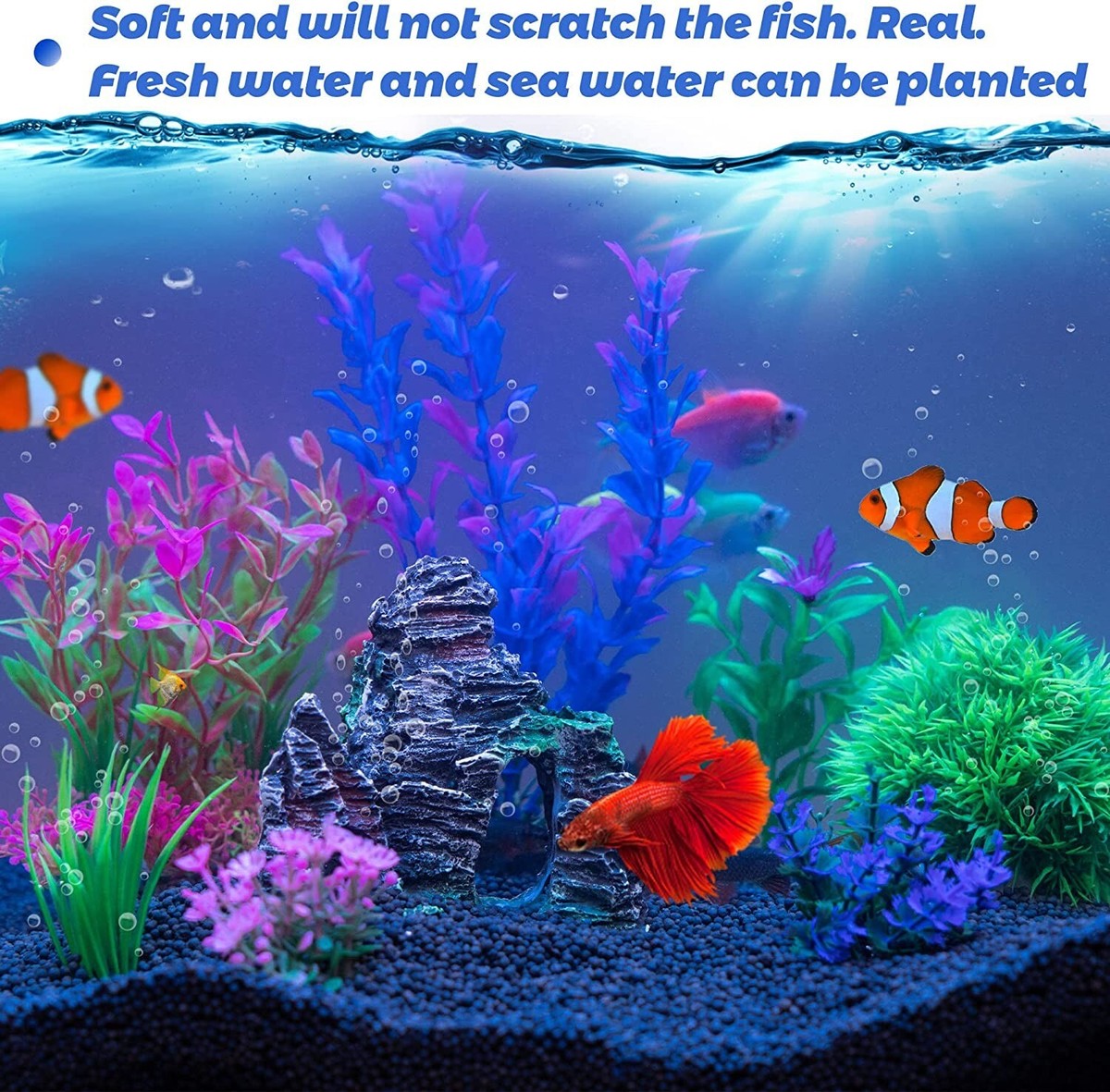 Glofish Tank Background