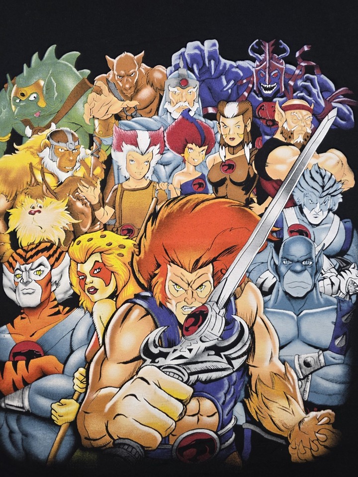 Y2K Thunder Cats Mens Shirt XL Black Anime Jerzees Vintage Cartoon | eBay