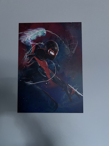 Spider-man Miles Morales Displate - Medium Matte Finish | eBay
