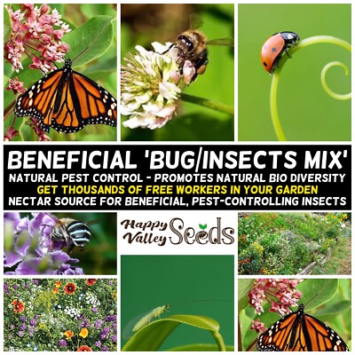 BENEFICIAL BUG MIX 100+ Seeds ATTRACT INSECT BEES POLLINATORS flower ...