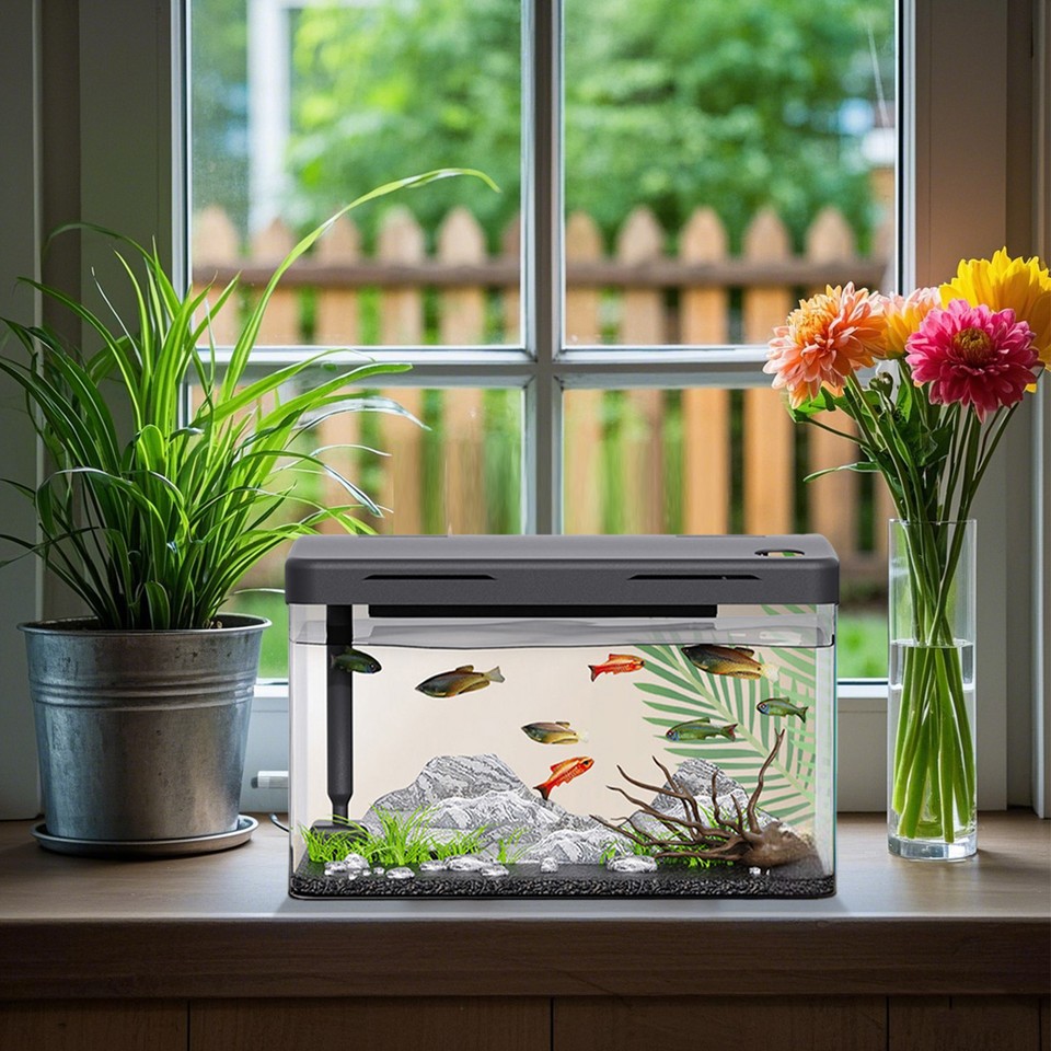Aquarium Fish Tank Starter Kit Fish Tank Mini Desktop Rectangular Fish ...