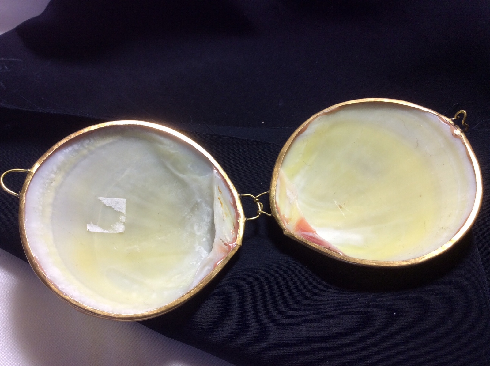 White Clam Sea shell Brass Hinged Snuff Pill coin Jewelry Trinket Box ...