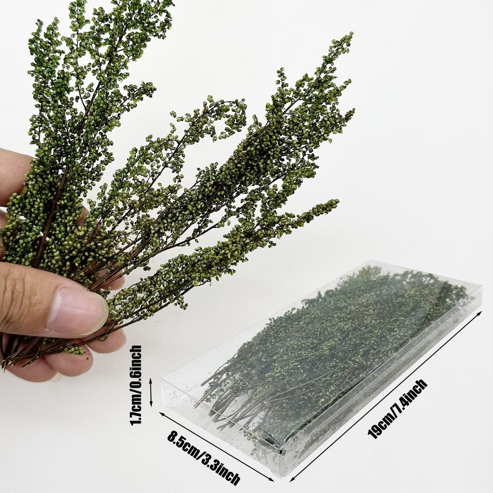 Dark Green Static Grass Tuft, Model Grass, Railway, Flower Cluster ...