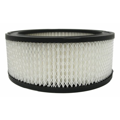 A152C AC Delco Air Filter for E150 Van E250 E350 Econoline F150 Truck ...