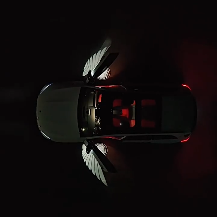 2Pcs Car Rearview Mirror Side Led Angel Wing Light Welcome Lamp Shadow ...