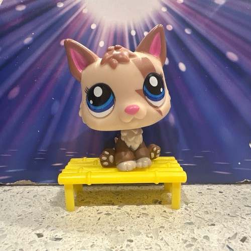 LPs G7 Dog #73 Generation 7 NWOB | eBay