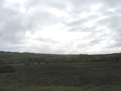 Photo 6x4 Reedy field near Ty'n y Buarth Capel Parc c2009 | eBay UK