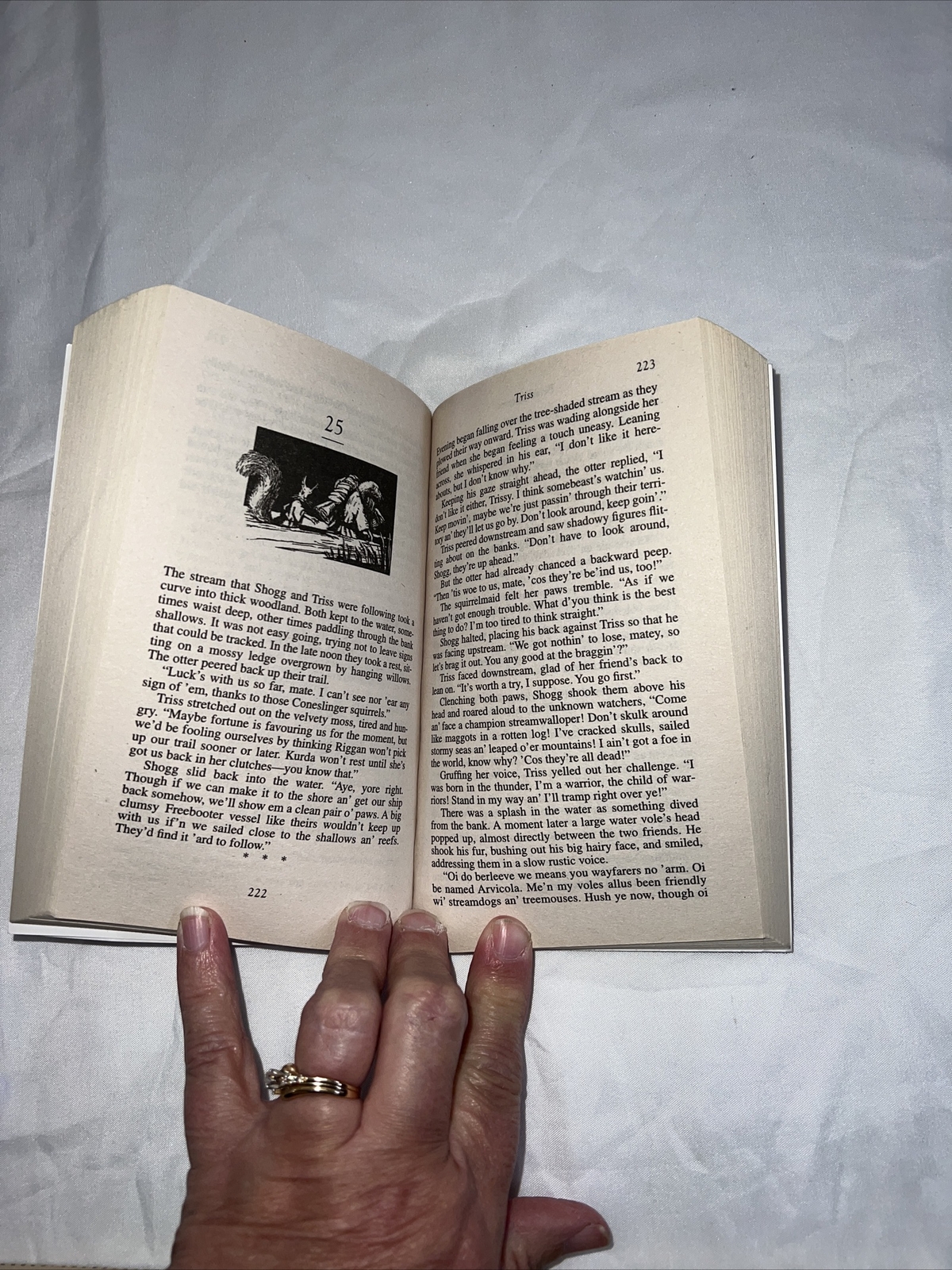 Redwall Ser.: Triss von Brian Jacques (2003, Massenmarkt) 9780441010950 ...