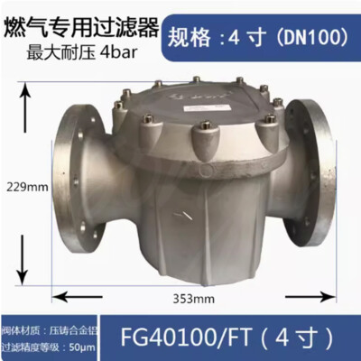 1Pcs New For FG40 Burner Filter FG40100FT DN100 Gas Filter | eBay