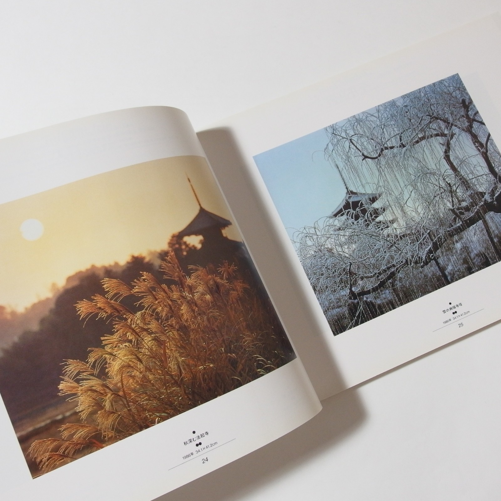 "Flowers, Nature and Greenery" Photo Album Jun Miki Shotaro Akiyama ...