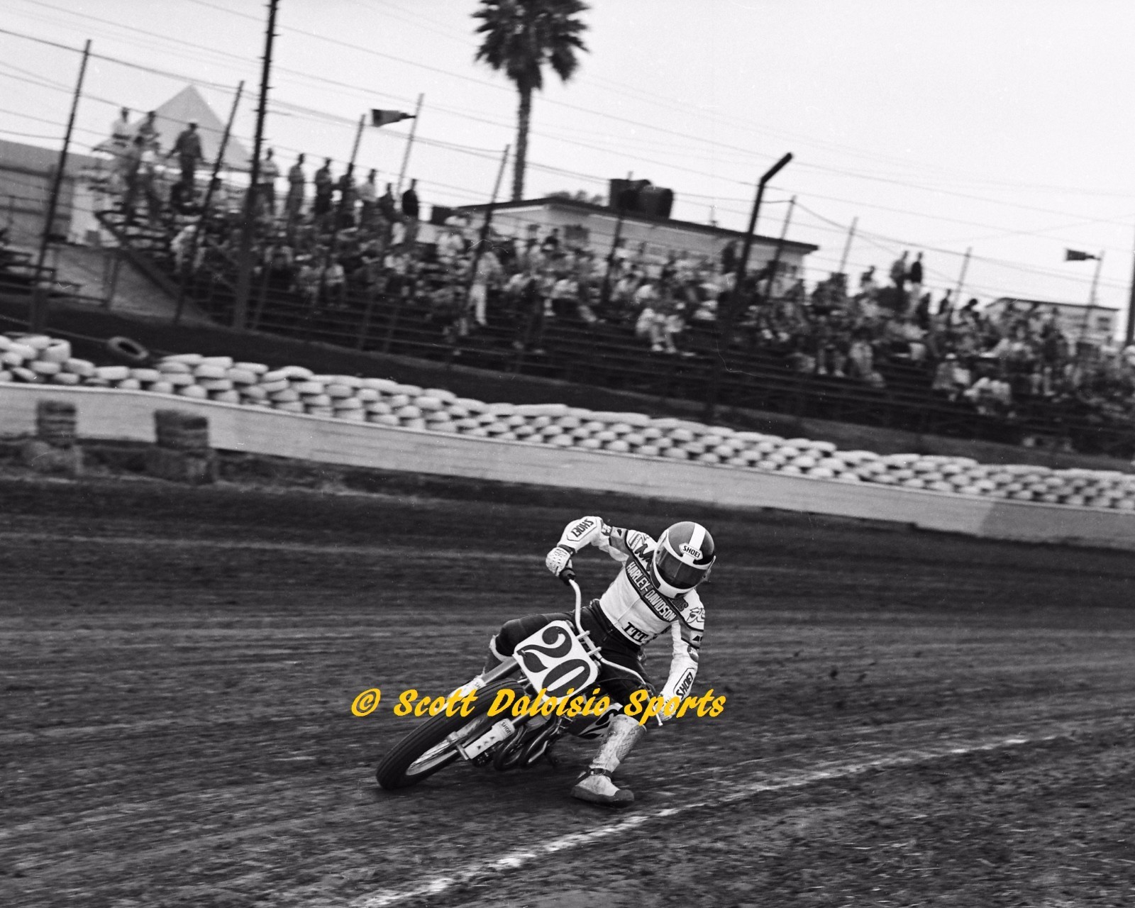 1987 CHRIS CARR HARLEY DAVIDSON ASCOT AMA FLAT TRACK MOTORCYCLE 16 x 20 ...