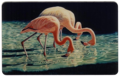 15u Flamants Roses (Artwork Par Larry Taugher) Téléphone Carte | eBay