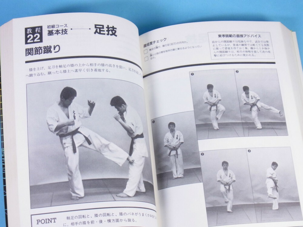 Daido Juku Karate Martial Arts Basic book Takashi Azuma Kudo MMA | eBay