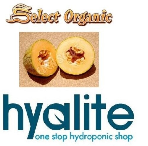 Rockmelon Seed Select Organic by Eden Seeds Australian Certified ...