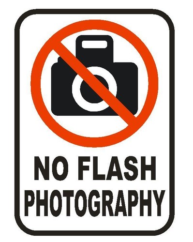 No Flash Photography Sticker Safety Decal Label D859 | eBay