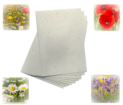 Seed Craft Paper A4 A5 A6 Seeded Sheets Size Choose Size and Seeds ...
