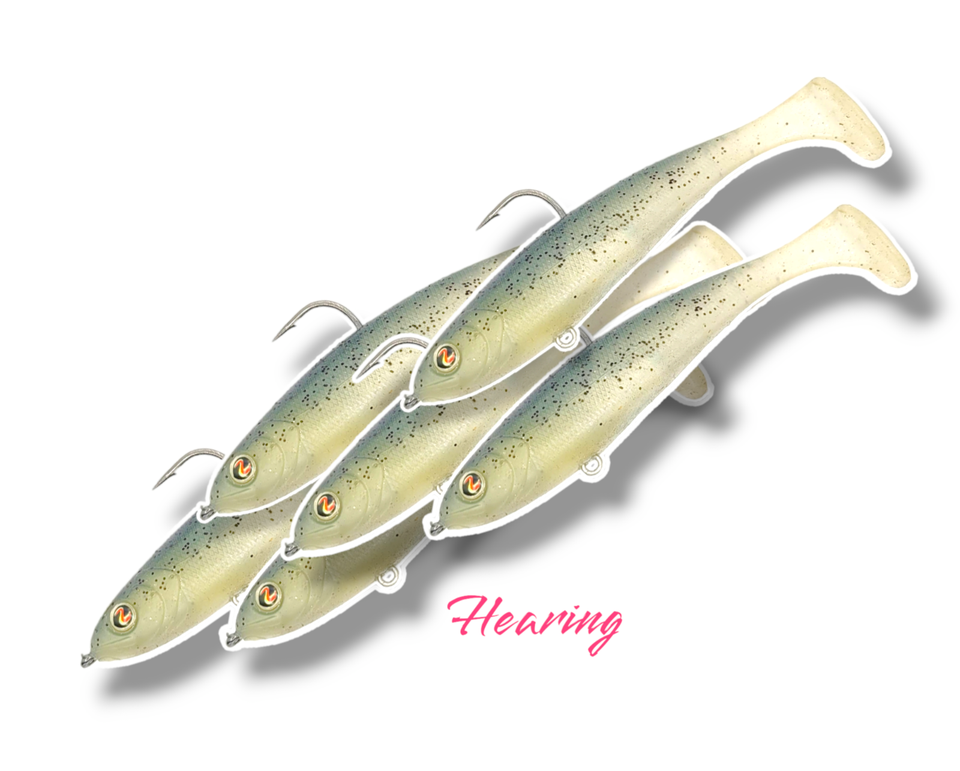 RIVER2SEA 120 RIG WALKER PLUS FREE gift | eBay