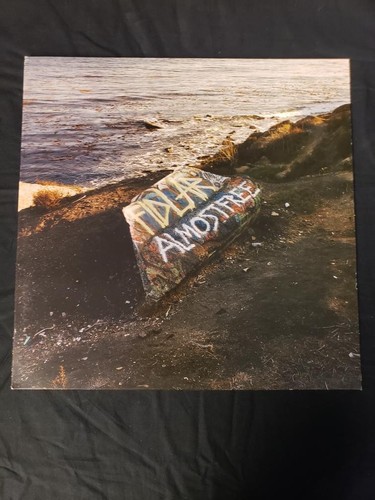 FIDLAR - ALMOST FREE (2019) GREEN VINYL LP (B26001954) | eBay