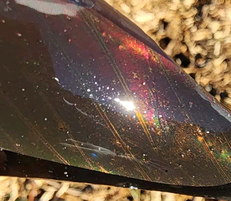 High Grade FIRE OBSIDIAN From Glass Butte, Oregon. RARE - Not Polished ...