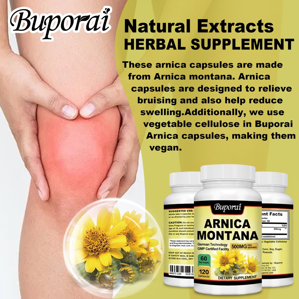 Arnica Montana 500mg -Anti-Inflammatory Support, Reliever for Swelling ...