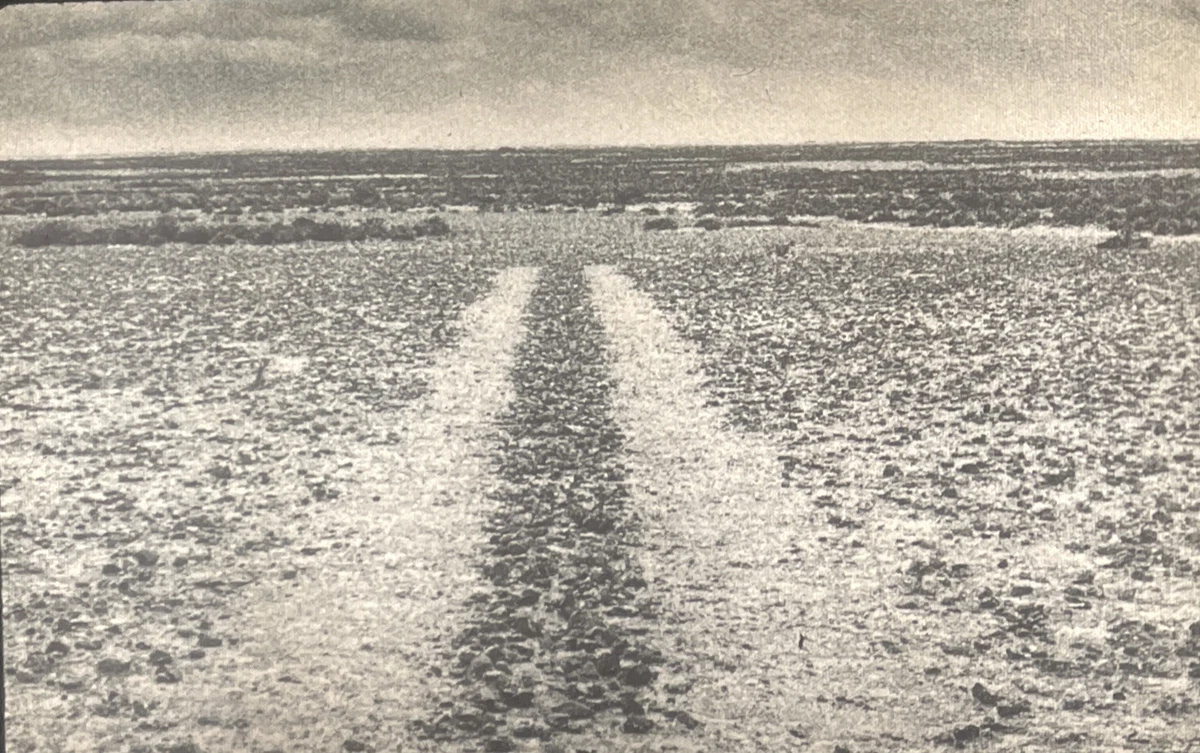 Land Art Richard Long