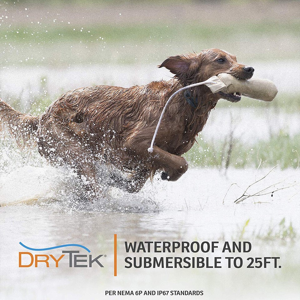 SportDOG SD-425X Remote Field Trainer E-Collar System 500 Yd, Free ...