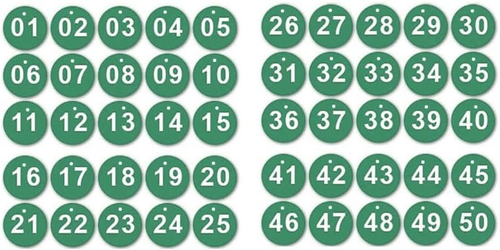 50Pcs Engraved Number Discs, 1 - 100 Circular Plastic Number Table Tags ...