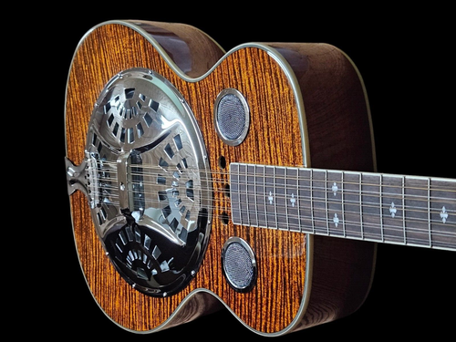 NEW GREAT PLAYING MAPLE FLAMED 12 STRING ACOUSTIC DOBRO RESONATOR ...