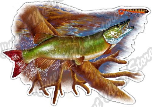 Musky Explosion Fish Fishing Hunting Pike Car Bumper Vinyl Sticker ...