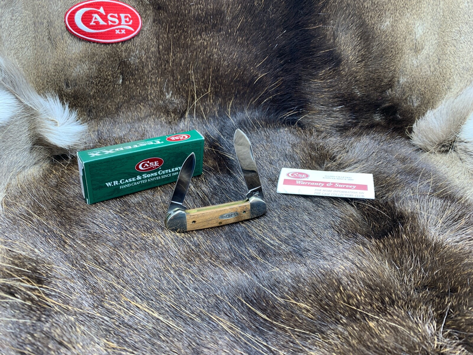 1996 Case Canoe Knife With Genuine Walnut Handles Mint In Box - 44B | eBay