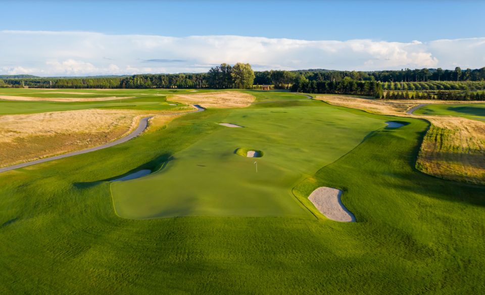 007 Creeping Bentgrass Seed 80,000 seeds | eBay