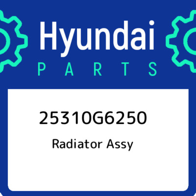 25310G6250 Hyundai Radiator assy 25310G6250, New Genuine OEM Part | eBay