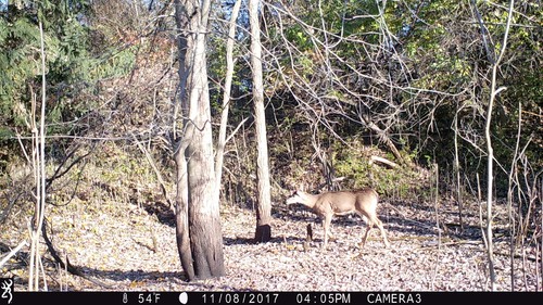 Moultrie Mobile Wireless Field Modem MV1 (MCA-13033) for sale online | eBay