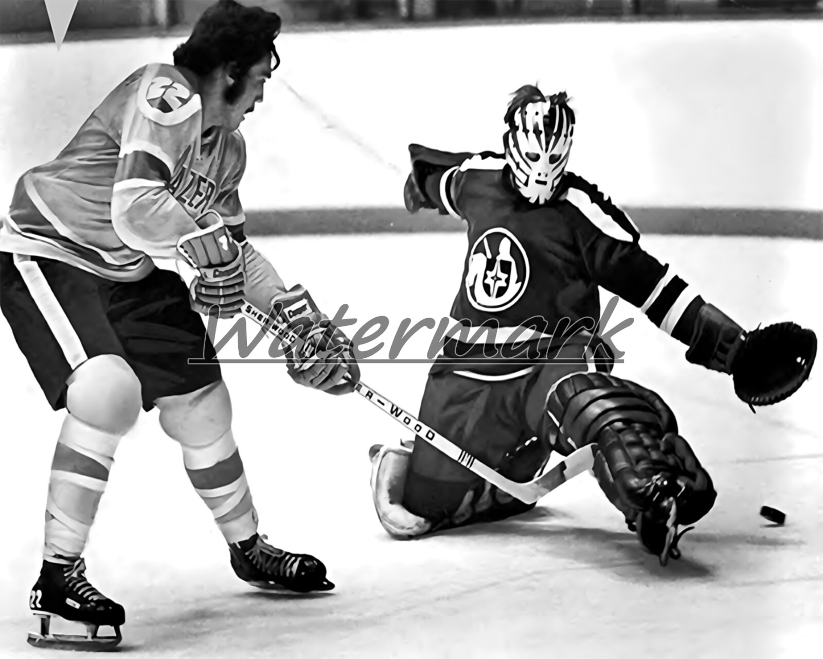 WHA Goalie Bob Whidden Cleveland Crusaders Vs Vancouver Blazers 8 X 10 ...