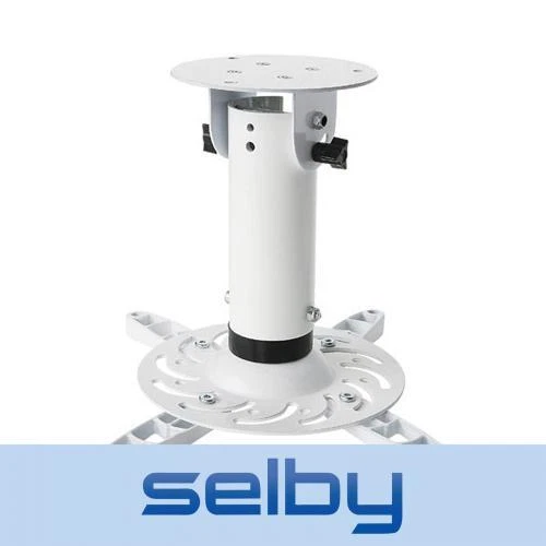 Angled Ceiling Mount Bracket | Shelly Lighting