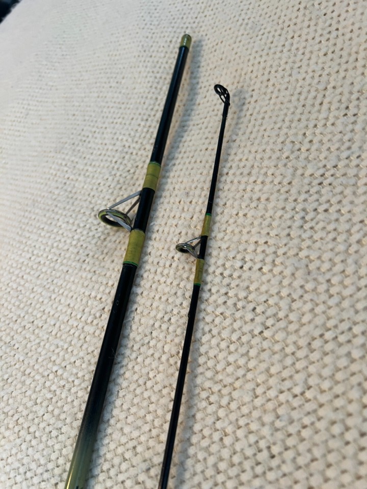 Silstar Neon Spinning Rod | eBay
