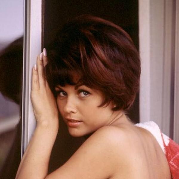 Nancy McNeil 10 Different 4x6 Super Glossy Images Photo Collection | eBay