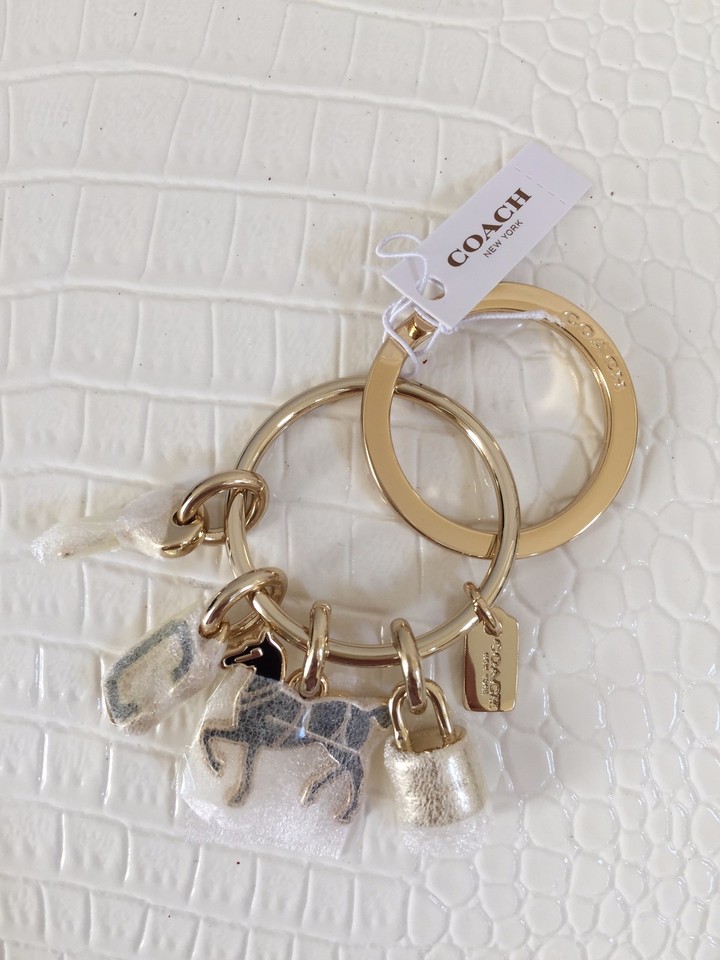 COACH Iconic Key Fob Ring Chain You Pick Letters or Horse with BOX ...