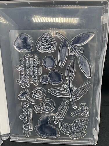 Stampin' Up Berry Blessings Stamp Set | eBay