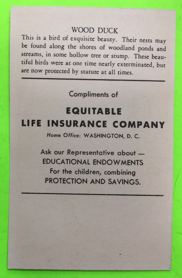JACK MURRAY/ EQUITABLE LIFE INSURANCE CO. BIRD CARDS/ WOOD DUCK | eBay