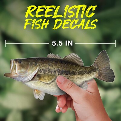 Largemouth Bass Vinyl Decal – UV Waterproof Outdoor Sticker for Boat ...