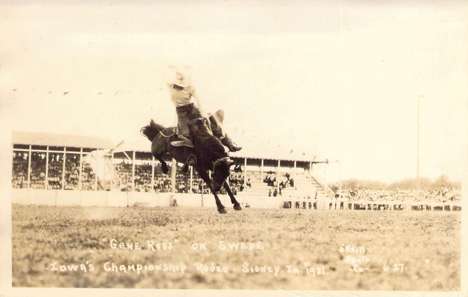 Gene Ross On "Swede" Bucking Bronco. Sidney, IA, 1931. Real Photo ...