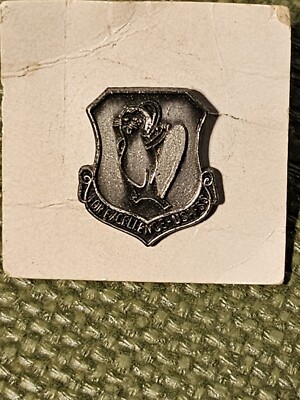 Vintage US Air Force Security Services USAFSS Secret Squirrels Pin | eBay