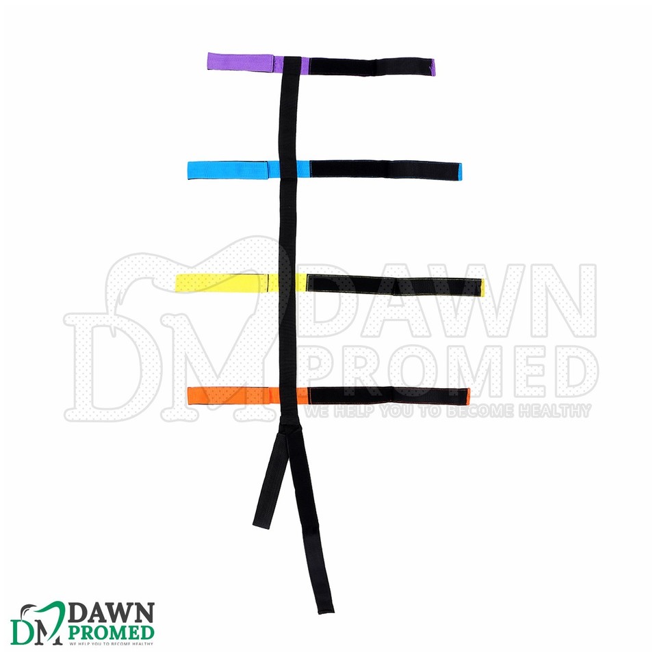 Backboard Spine Board Stretcher Immobilization Color Coded Spider ...