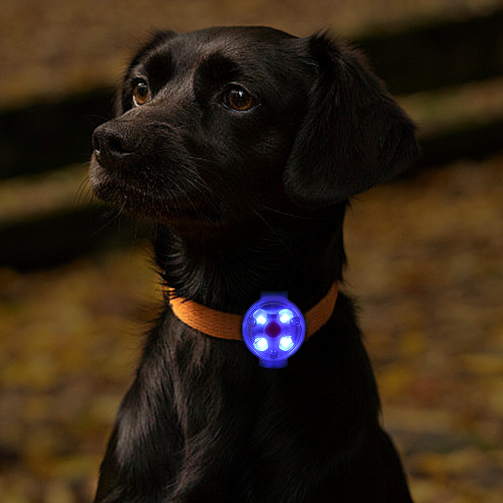 2pcs Waterproof Dog Collar Light USB Rechargeable For Night Walking ...