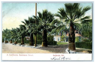 c1910's A California Residence Street Palm Trees Redlands CA Antique ...