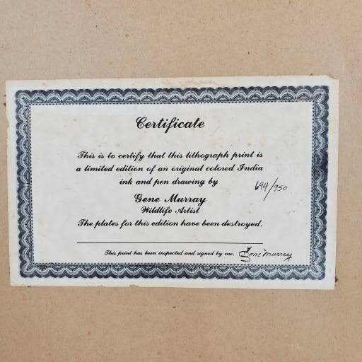 Wood Duck Pair Gene Murray Wildlife Artist Limited Edition Lithograph ...